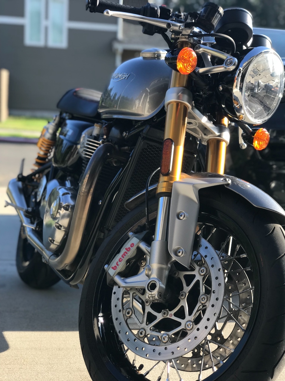 Triumph For Sale - Triumph Motorcycles - Cycle Trader